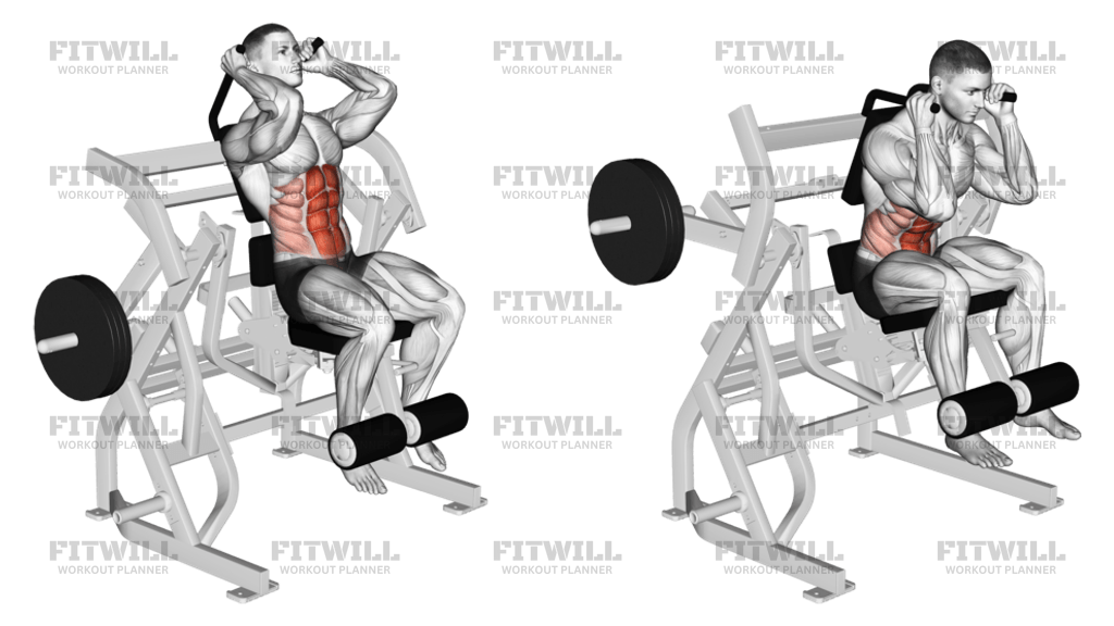 Lever Seated Leg Raise Crunch (plate Loaded): Exercise Guide, Video ...