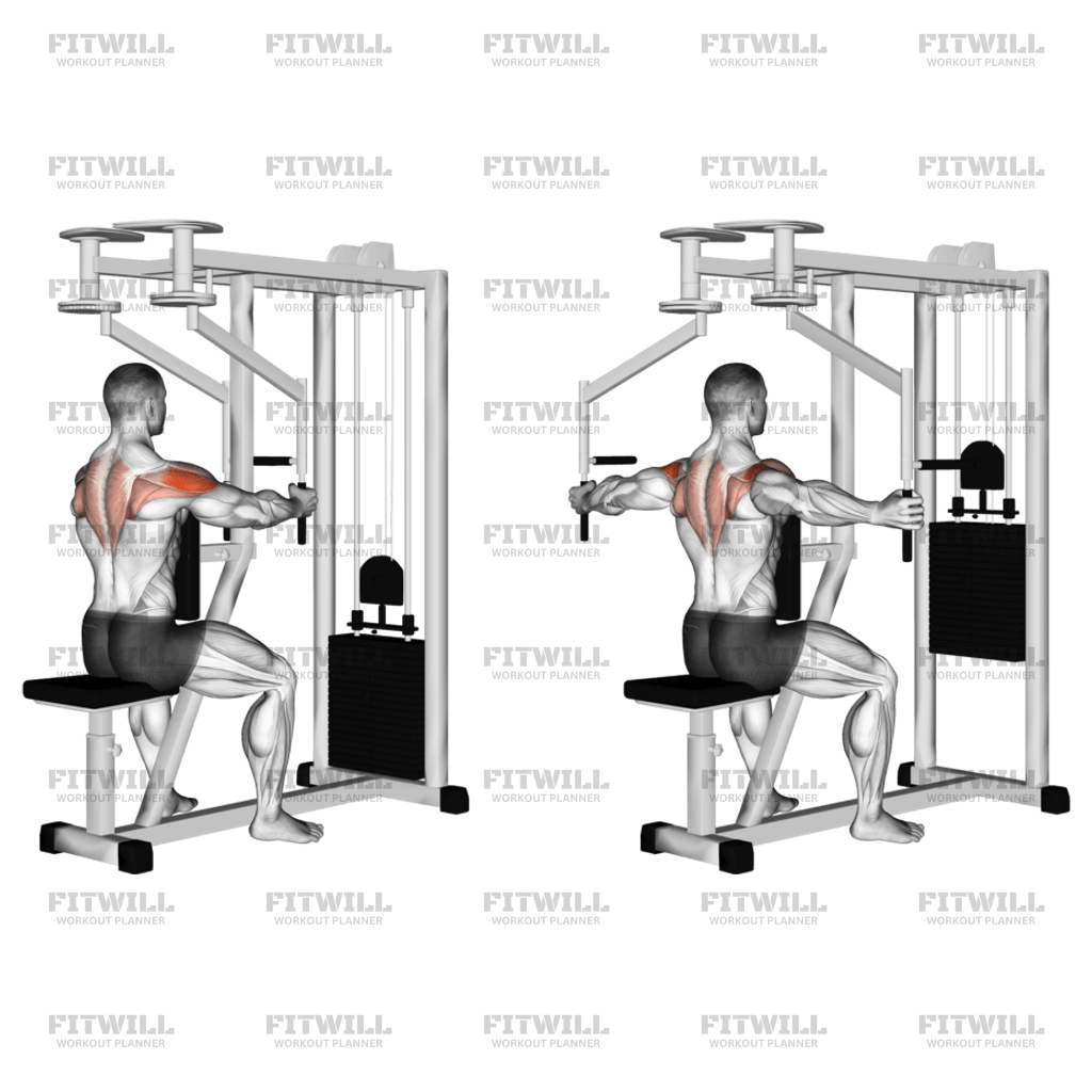Lever Seated Reverse Fly (parallel Grip): Exercise Guide, Video ...