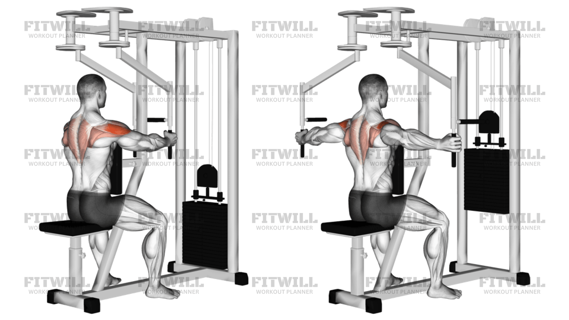 Lever Seated Reverse Fly (parallel Grip): Exercise Guide, Video ...