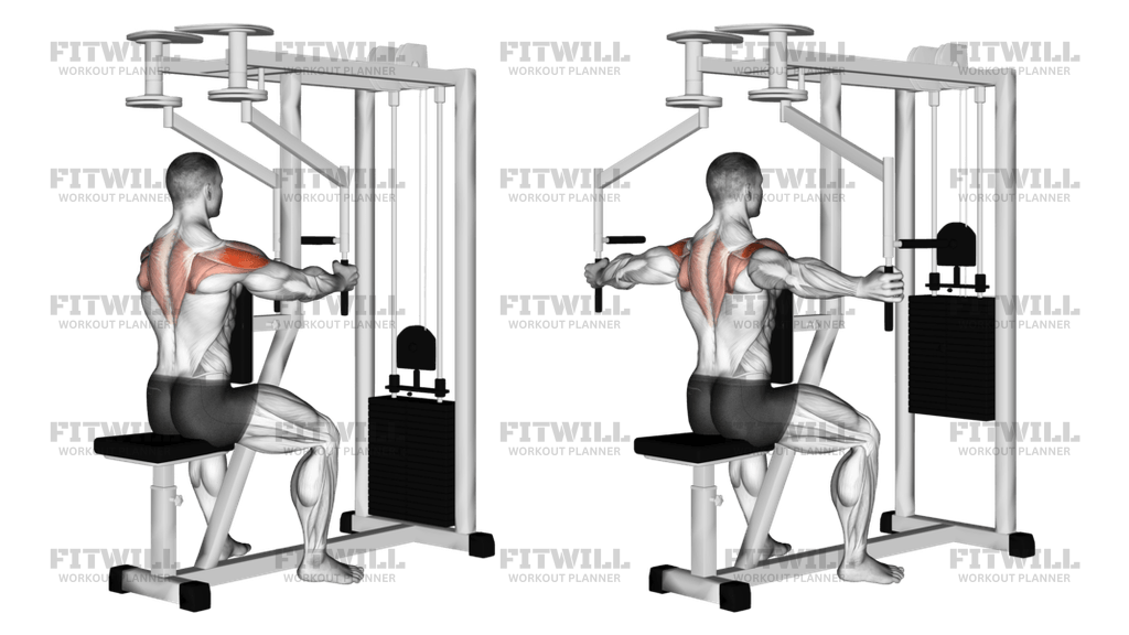 Lever Seated Reverse Fly (parallel Grip): Exercise Guide, Video ...