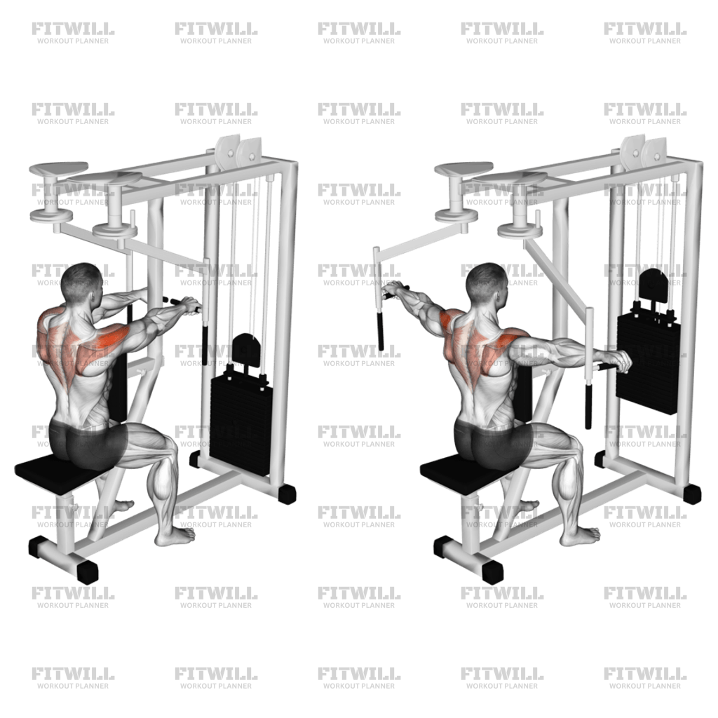 Lever Seated Reverse Fly: Exercise Guide, Video, Techniques, Benefits ...