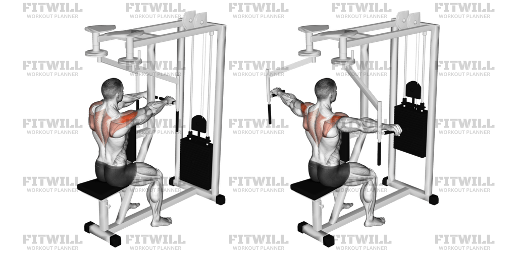 Lever Seated Reverse Fly: Exercise Video | Fitwill