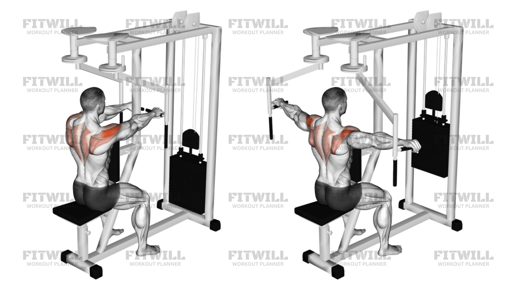 Lever Seated Reverse Fly: Exercise Guide, Video, Techniques, Benefits ...