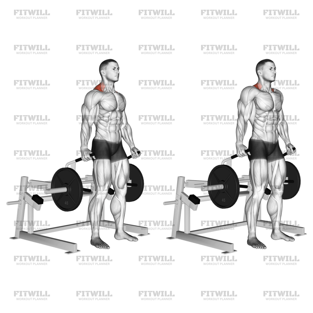 Lever Shrug (plate Loaded): Exercise Guide, Video, Techniques, Benefits ...
