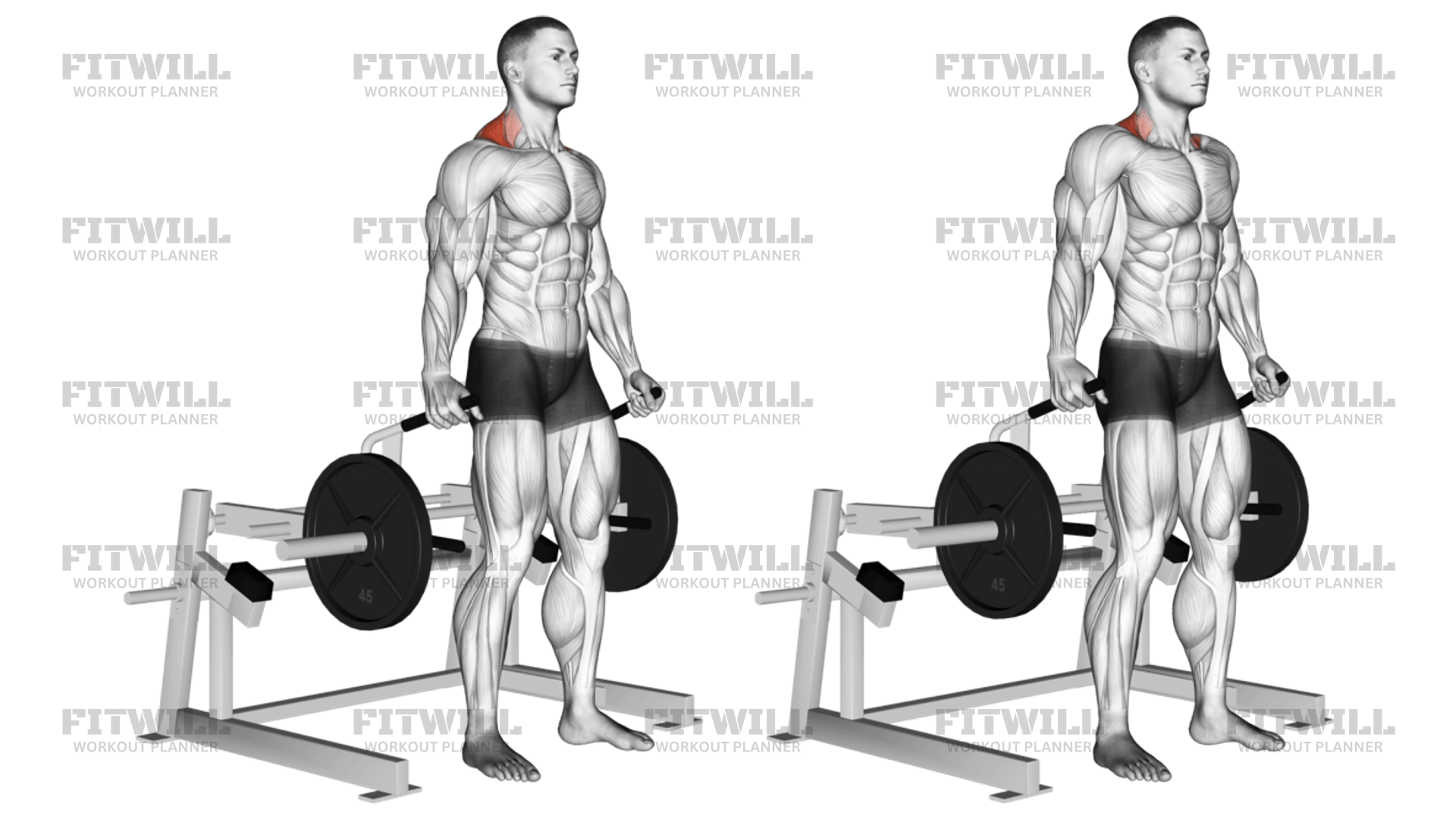 Lever Shrug (plate Loaded): Exercise Guide, Video, Techniques, Benefits ...
