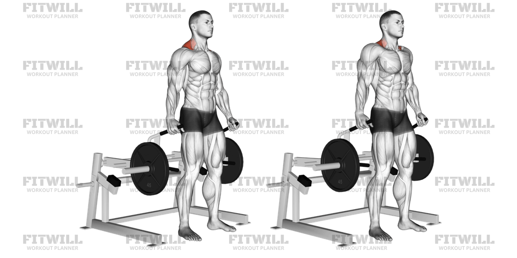 Lever Shrug (plate Loaded): Exercise Guide, Video, Techniques, Benefits ...