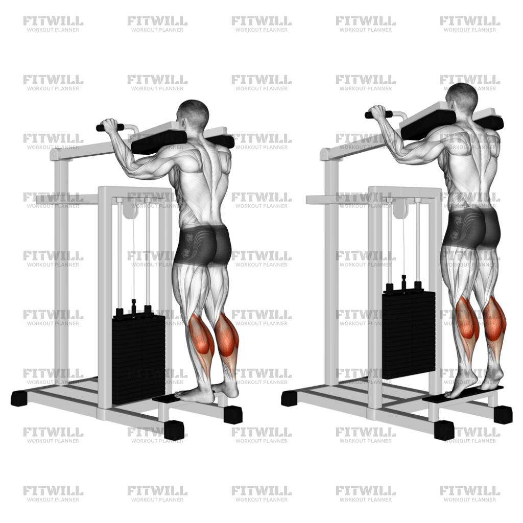 Lever Standing Calf Raise: Exercise Guide, Video, Techniques, Benefits ... Lever Standing Calf Raise: Exercise Guide, Video, Techniques, Benefits ...