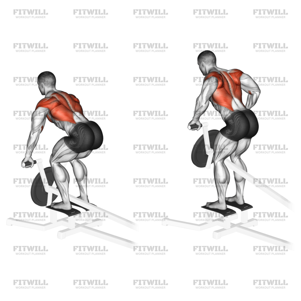 Lever T Bar Row (plate Loaded): Exercise Guide, Video, Techniques ...