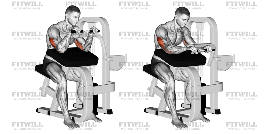 Lever Triceps Extension: Exercise Guide, Video, Techniques, Benefits ...