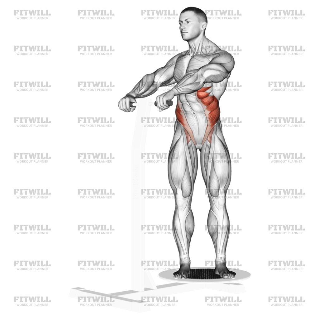 Lever Twist: Exercise Guide, Techniques, Benefits, How to, Muscles ...