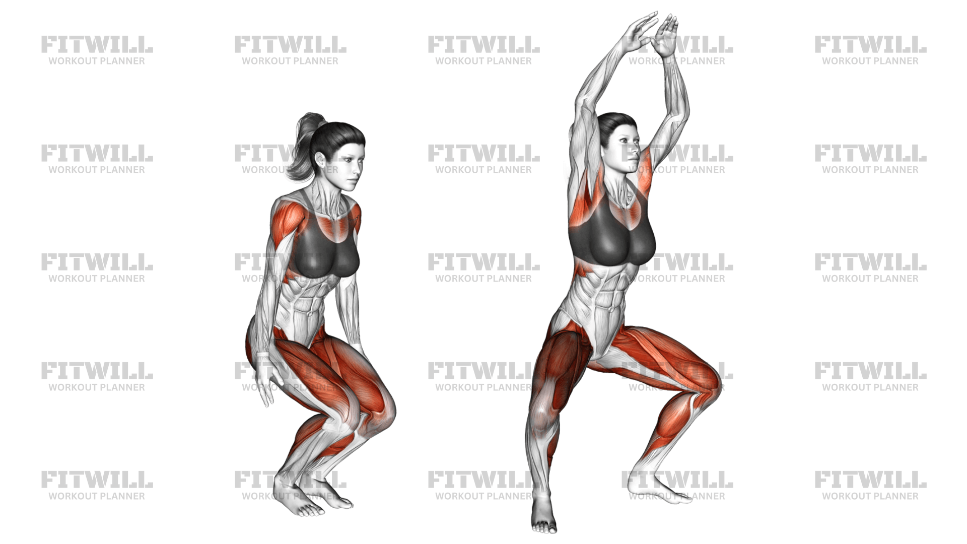 Low Jacks: Exercise Guide, Techniques, Benefits, How to, Muscles Worked ...