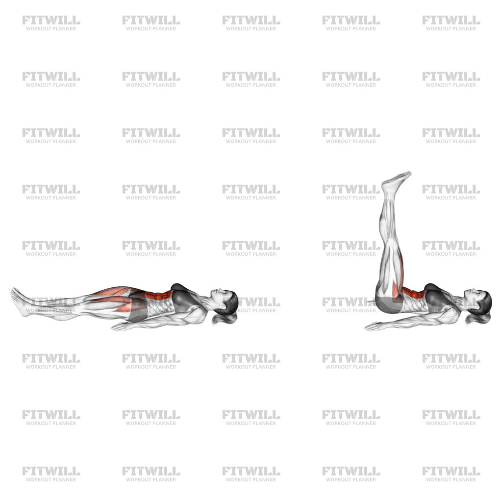 Lying Hip Straight Leg Raise: Exercise Guide, Video, Techniques ...
