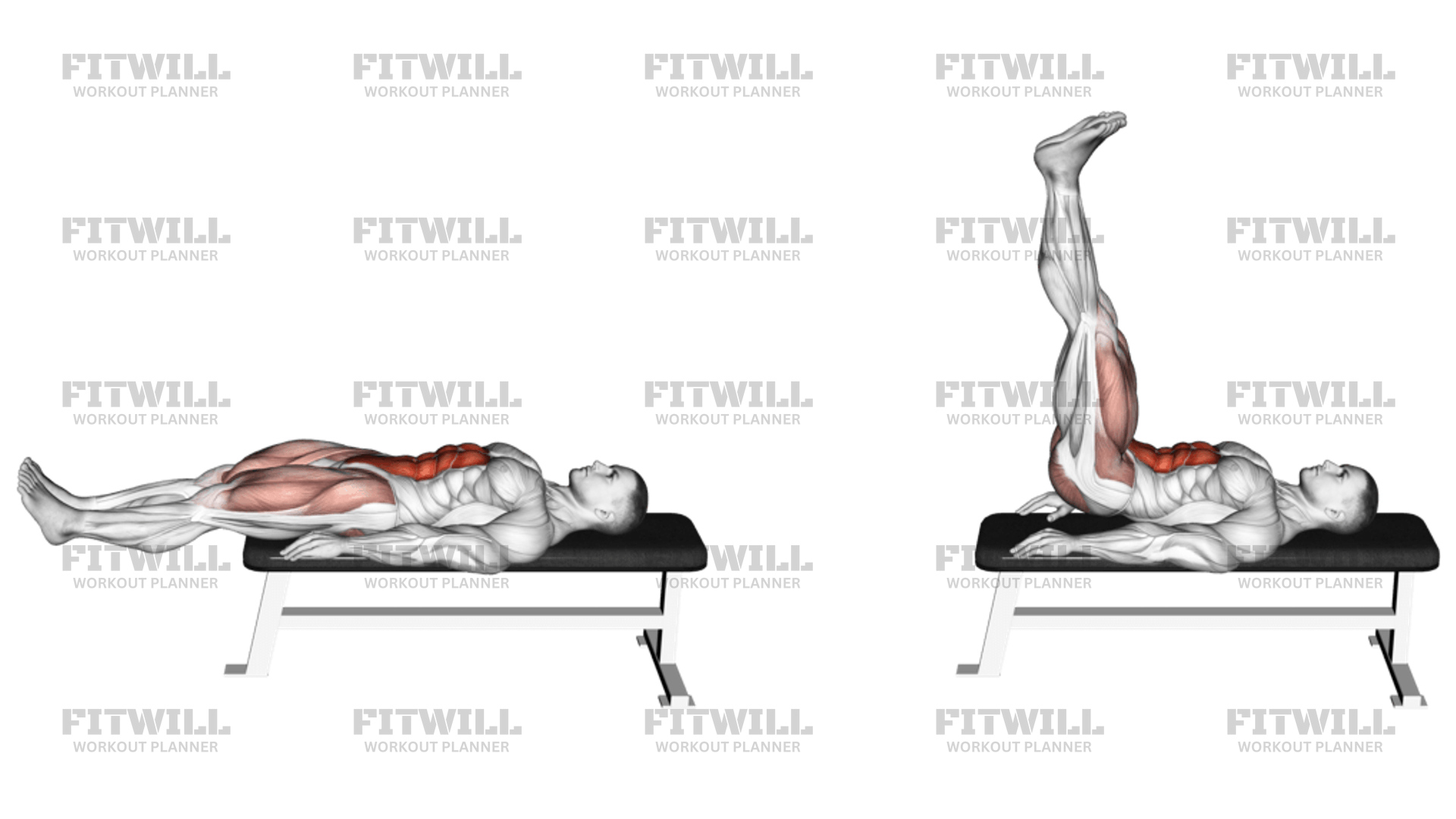 Lying Leg Raise Flat Bench: Exercise Guide, Video, Techniques, Benefits, How to, Muscles Worked ...
