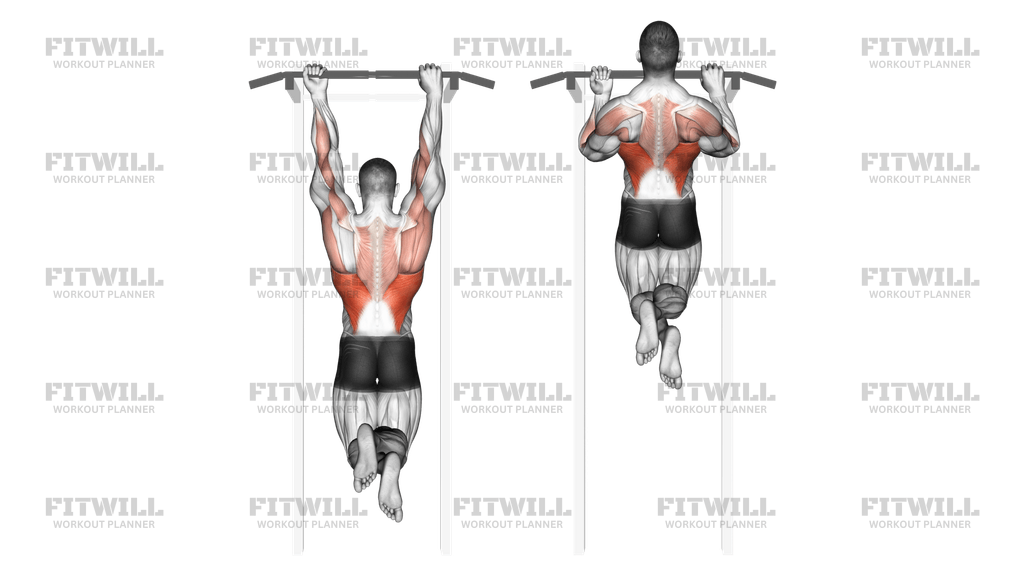 Barra Fixa Com Pegada Mista: Guia de Exercícios, Técnicas, Benefícios, Como Fazer, Músculos ...