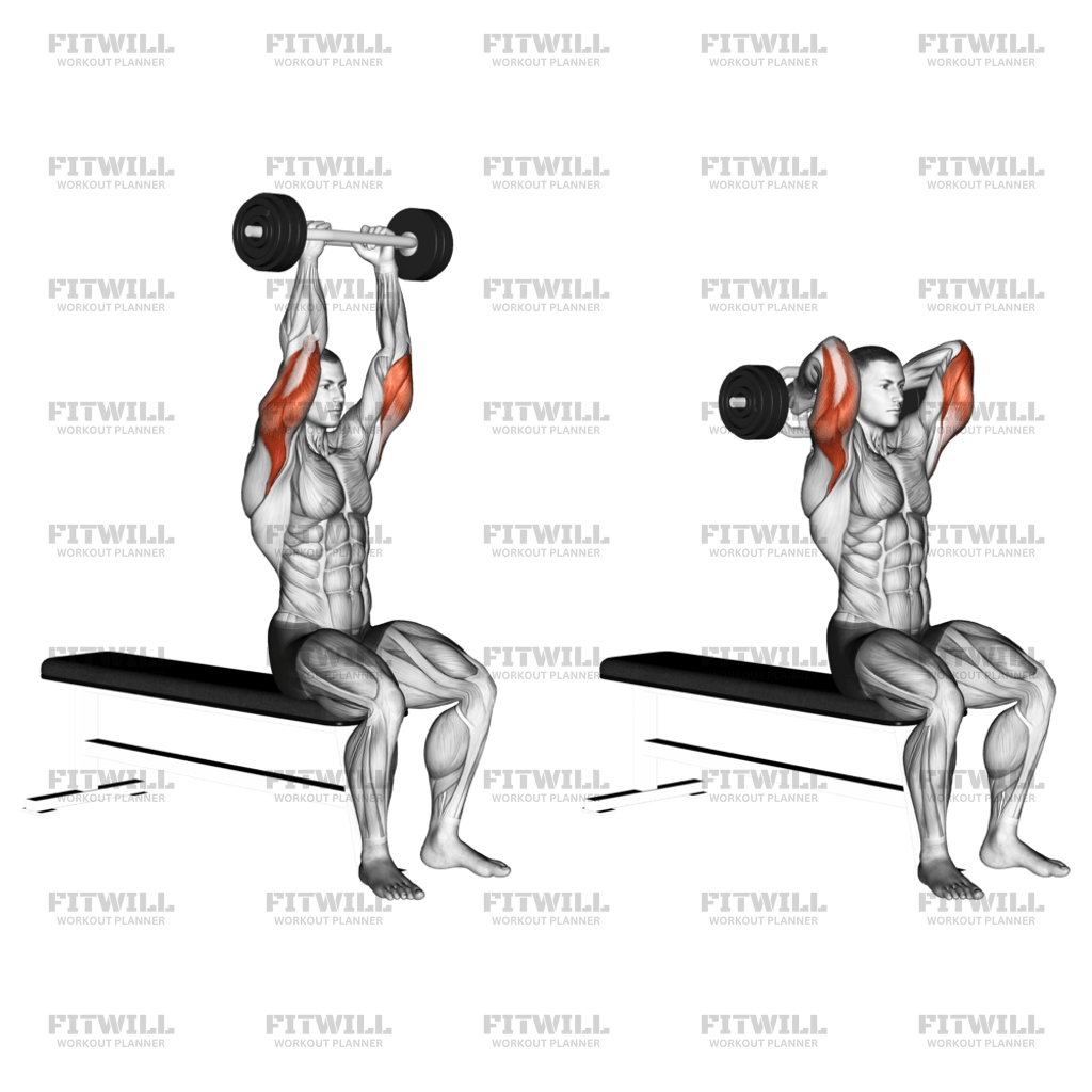 Olympic Barbell Triceps Extension: Exercise Guide, Video, Techniques ...