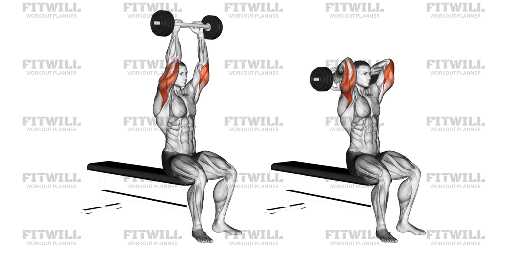 Olympic Barbell Triceps Extension: Exercise Guide, Video, Techniques ...