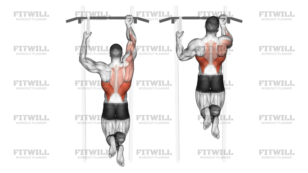 One-Arm Chin-Up: Exercise Guide, Techniques, Benefits, How to, Muscles ...