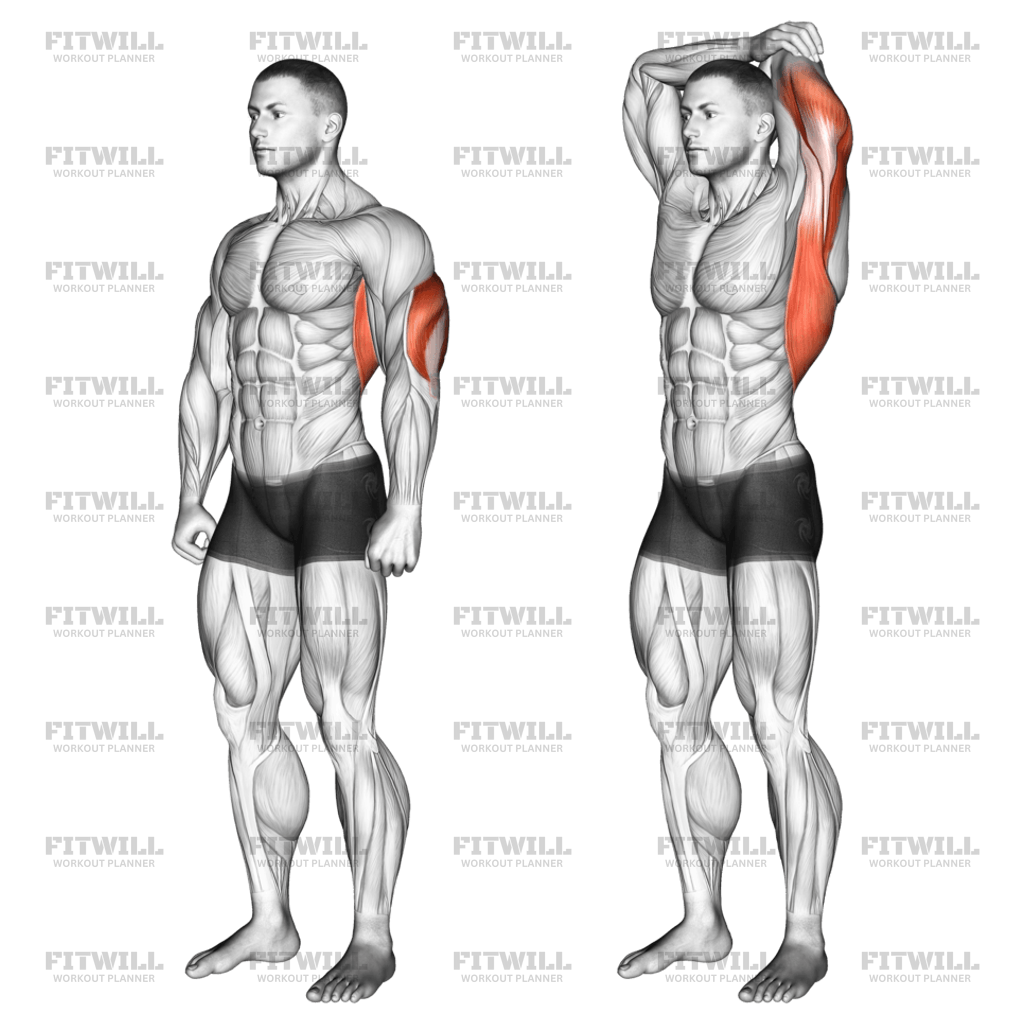 Overhead Triceps Stretch: Exercise Guide, Video, Techniques, Benefits ...