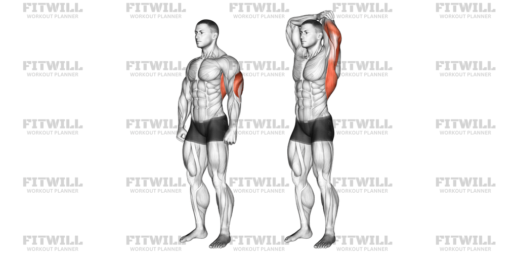 Overhead Triceps Stretch: Exercise Guide, Video, Techniques, Benefits ...