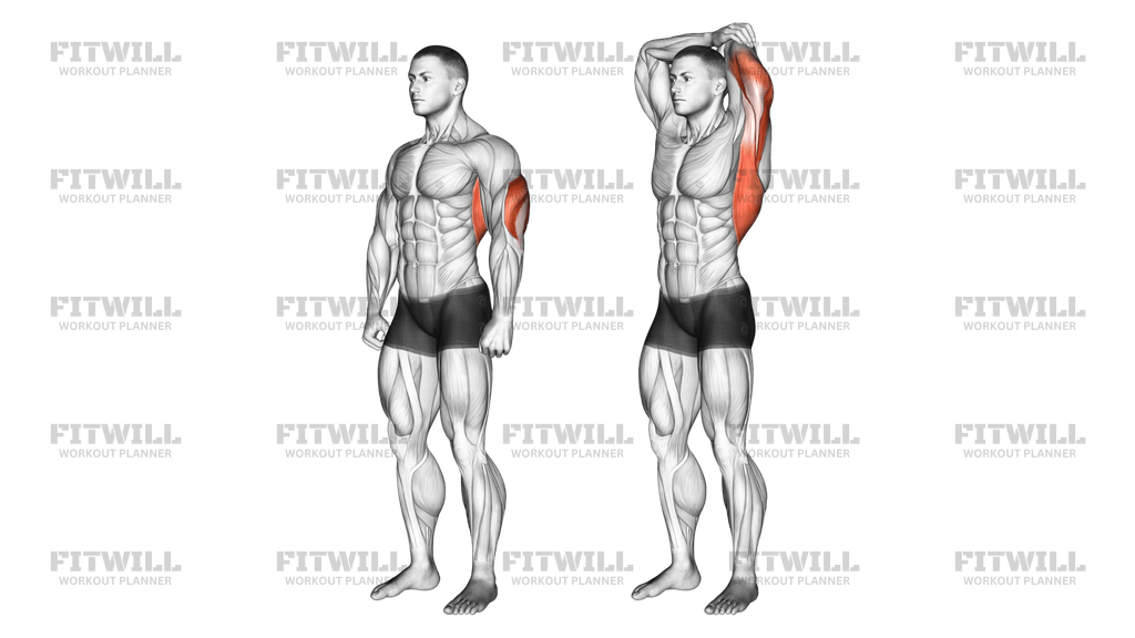 Overhead Triceps Stretch: Exercise Guide, Video, Techniques, Benefits ...