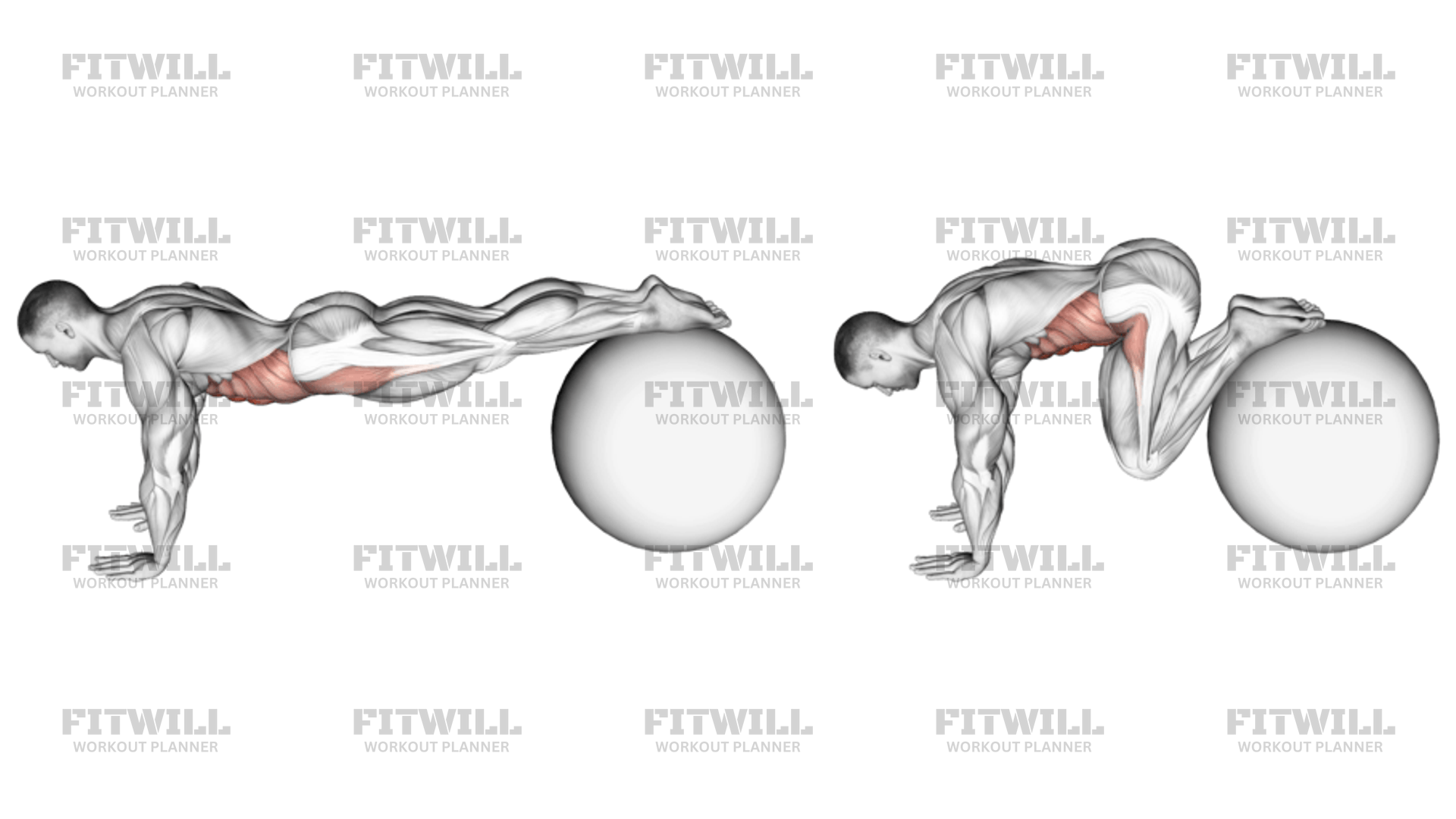 Pull-In (on Stability Ball): Exercise Guide, Video, Techniques ...