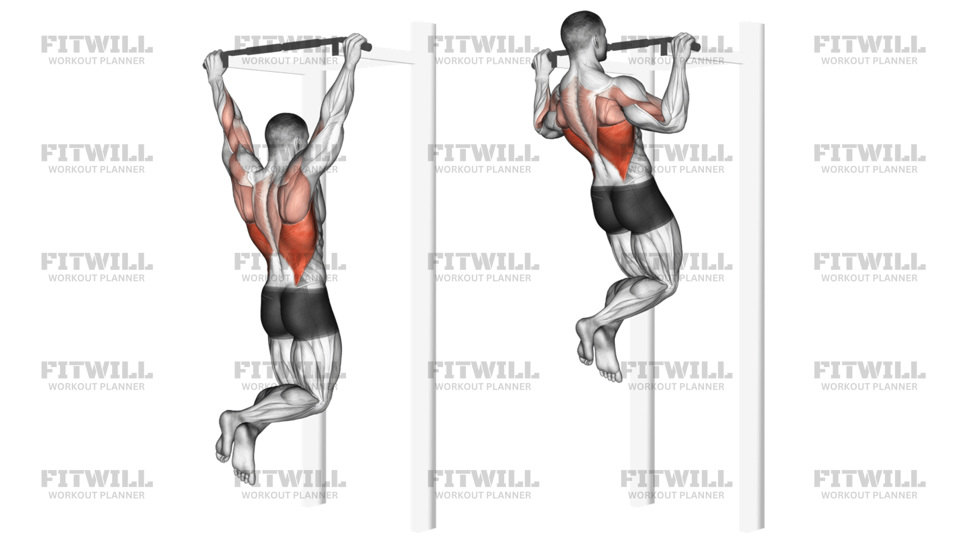 Pull-up: Exercise Guide, Video, Techniques, Benefits, How to, Muscles ...