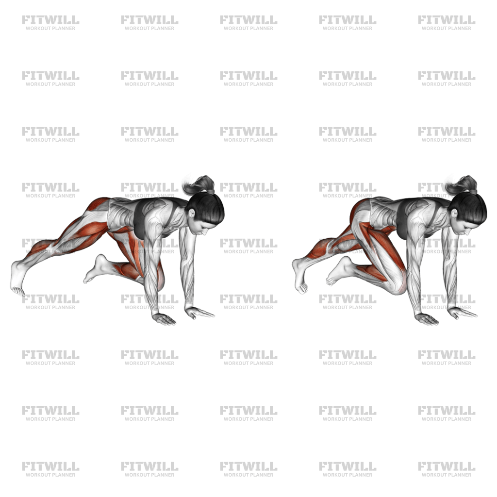 Push Up Knee Chest Exercise Guide Techniques Benefits How To