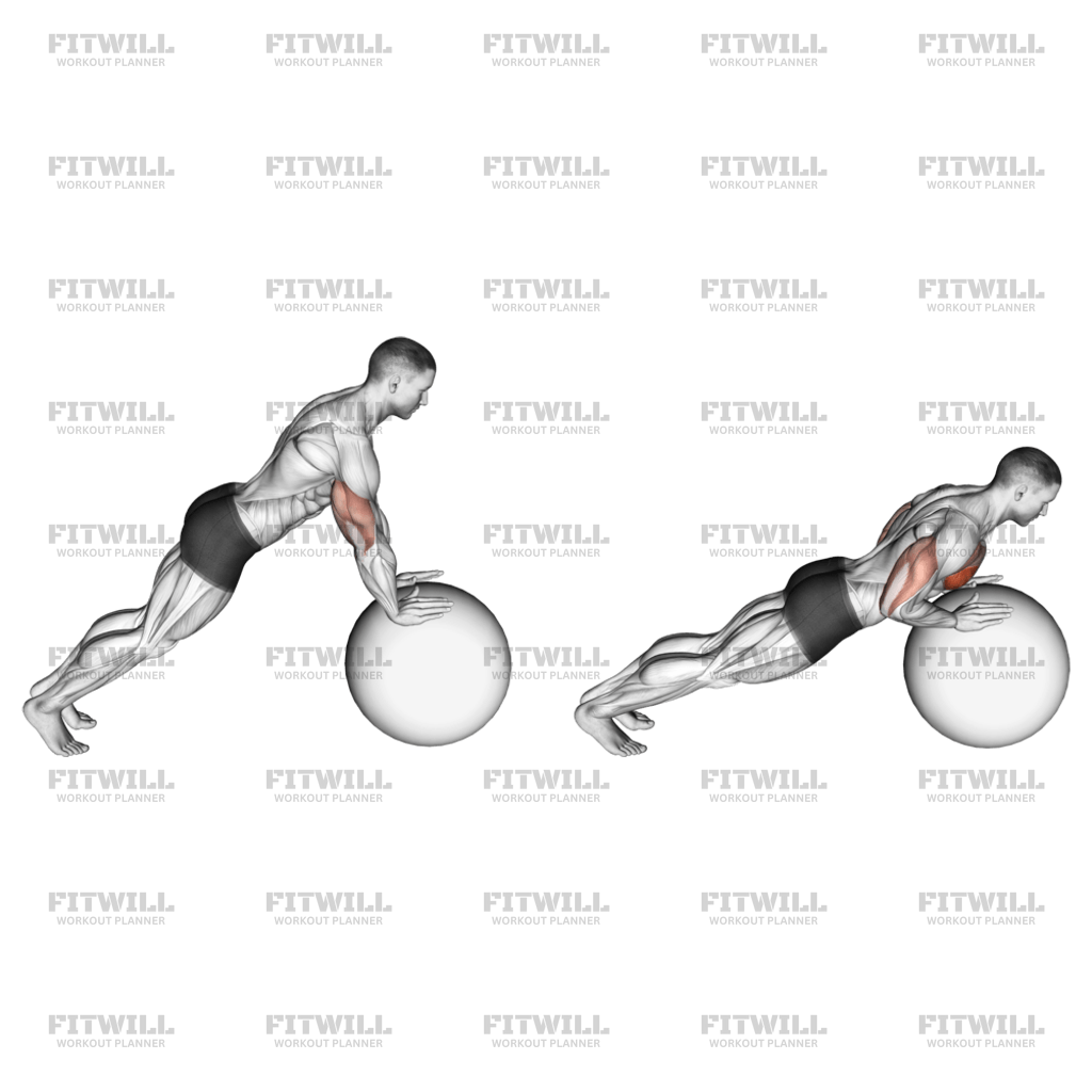 Push-up (on Stability Ball): Exercise Guide, Techniques, Benefits, How ...