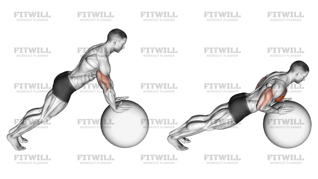 Push-up (on Stability Ball): Exercise Guide, Techniques, Benefits, How ...