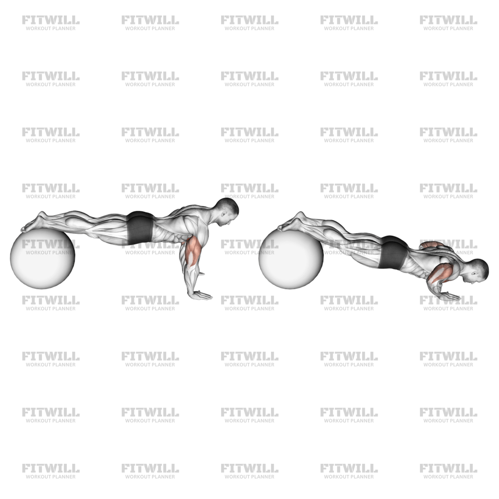 Push-Up (on Stability Ball): Exercise Guide, Techniques, Benefits, How ...