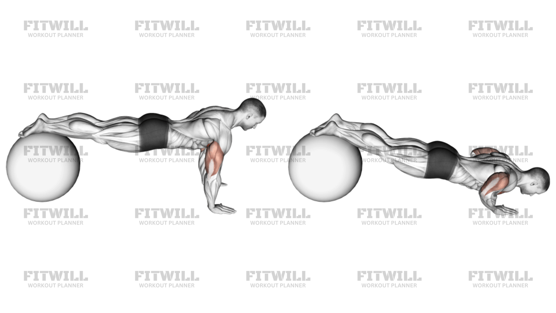 Push-Up (on Stability Ball): Exercise Guide, Techniques, Benefits, How ...