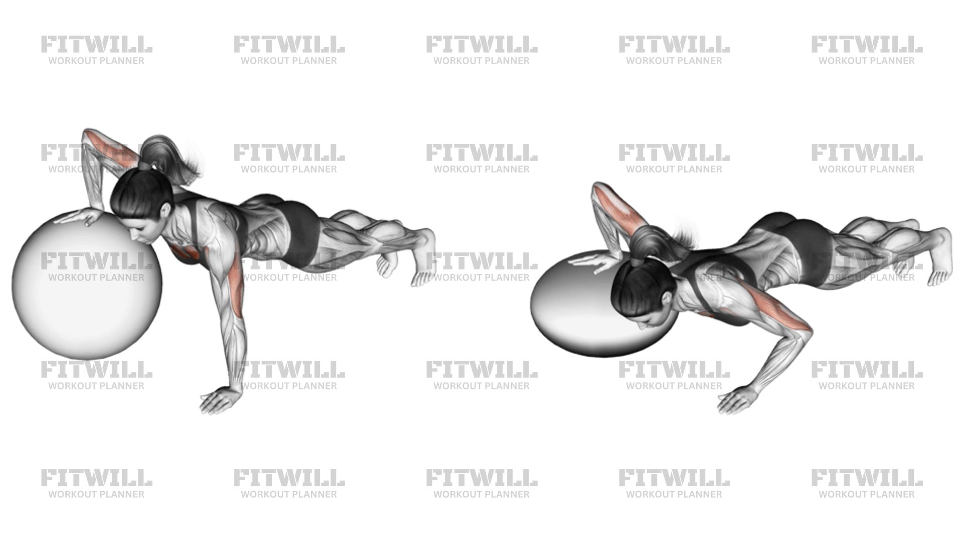 Push-up (one Arm On Stability Ball): Exercise Guide, Techniques ...