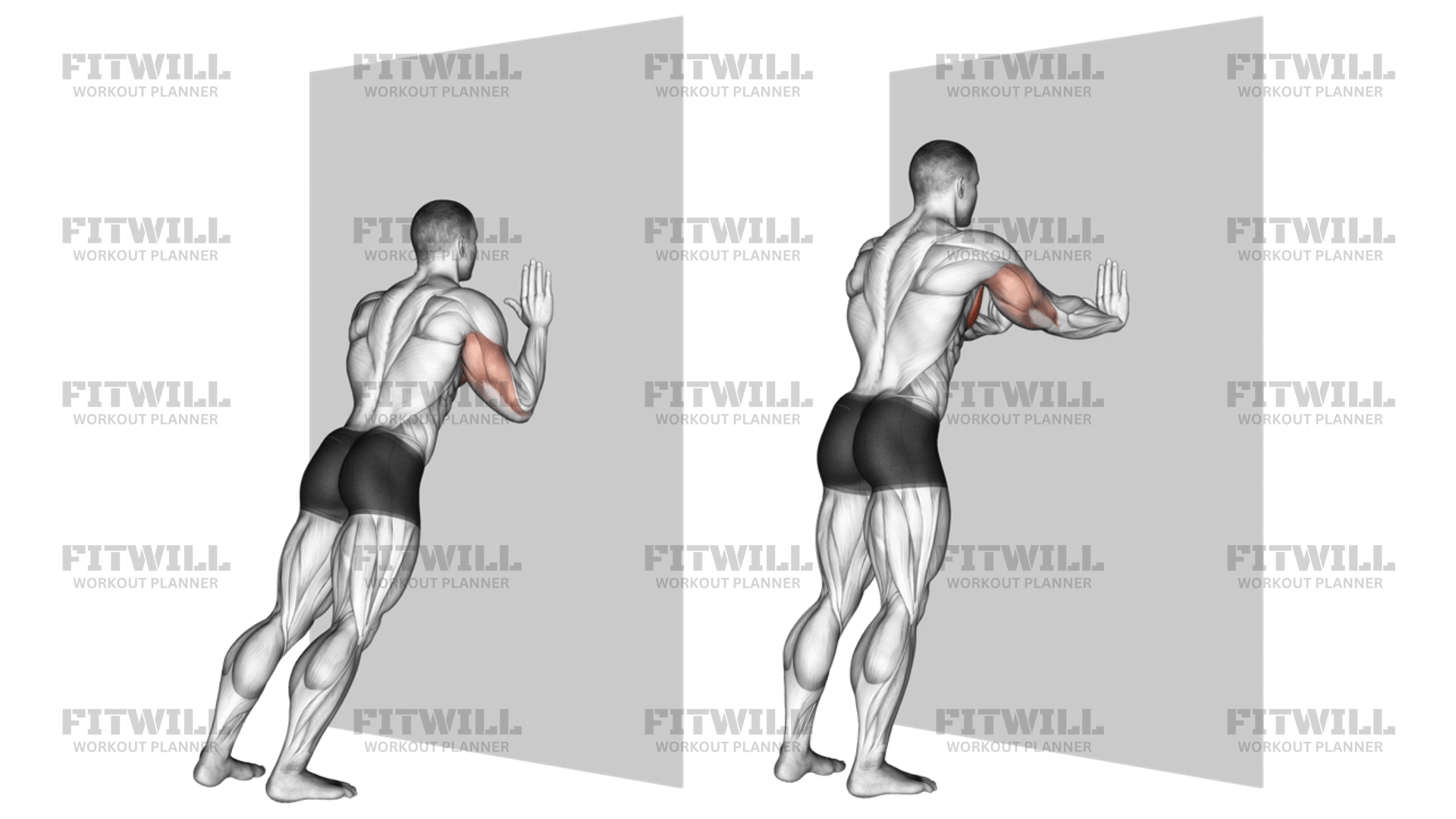 Flexión De Pared (Agarre Cerrado): Guía de Ejercicios, Técnicas ...