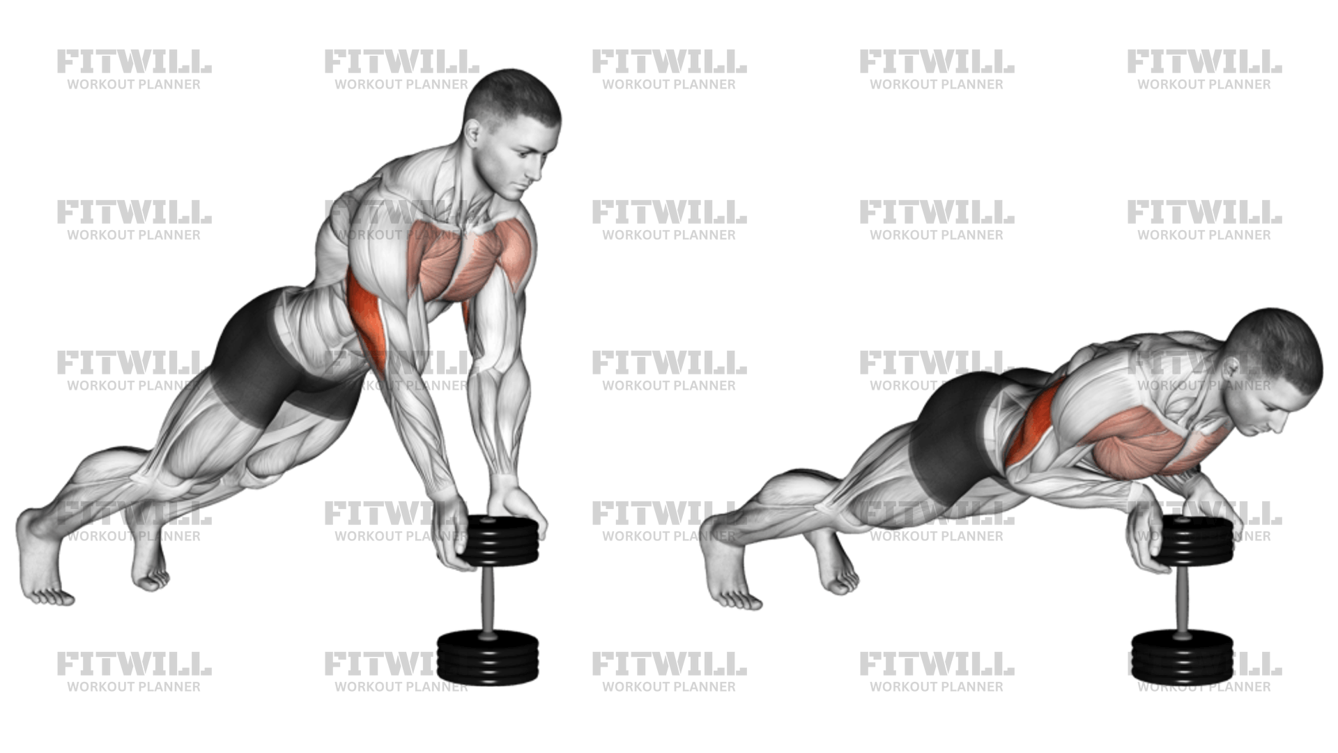 Push-Up Close-grip Off Dumbbell: Exercise Guide, Techniques, Benefits ...