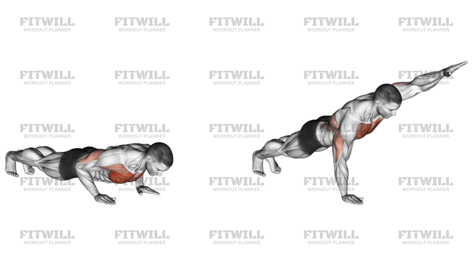 Flexión Con Un Brazo Elevado: Guía de Ejercicios, Técnicas, Beneficios ...