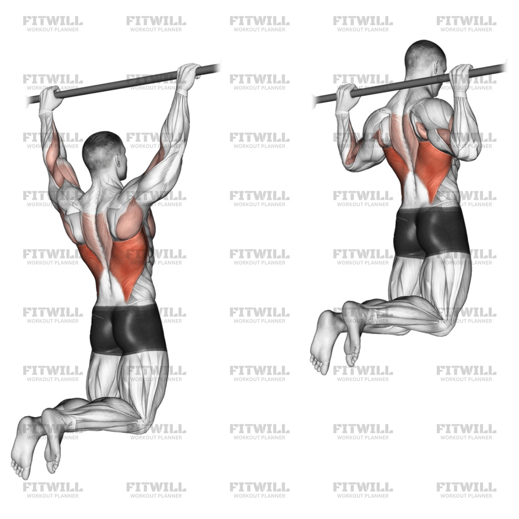 Rear Pull-up: Exercise Guide, Techniques, Benefits, How to, Muscles ...