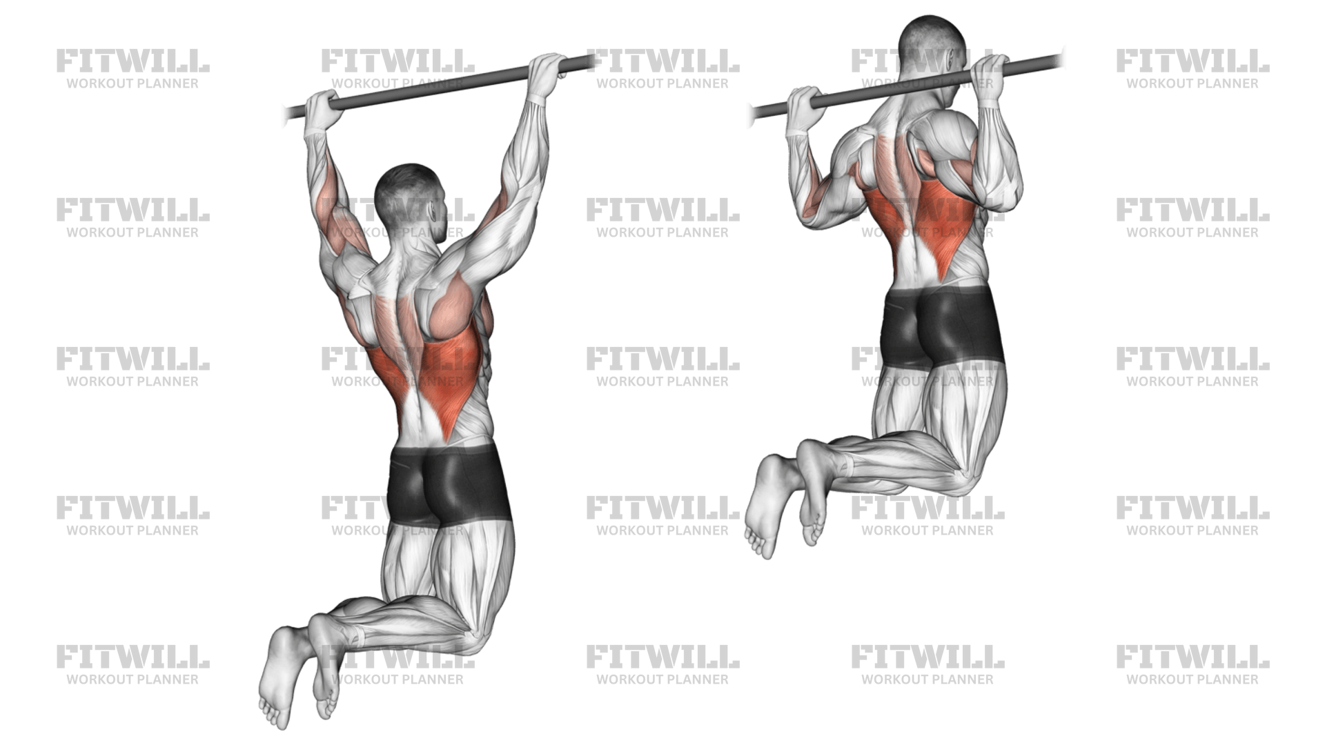 Rear Pull-up: Exercise Guide, Techniques, Benefits, How to, Muscles ...