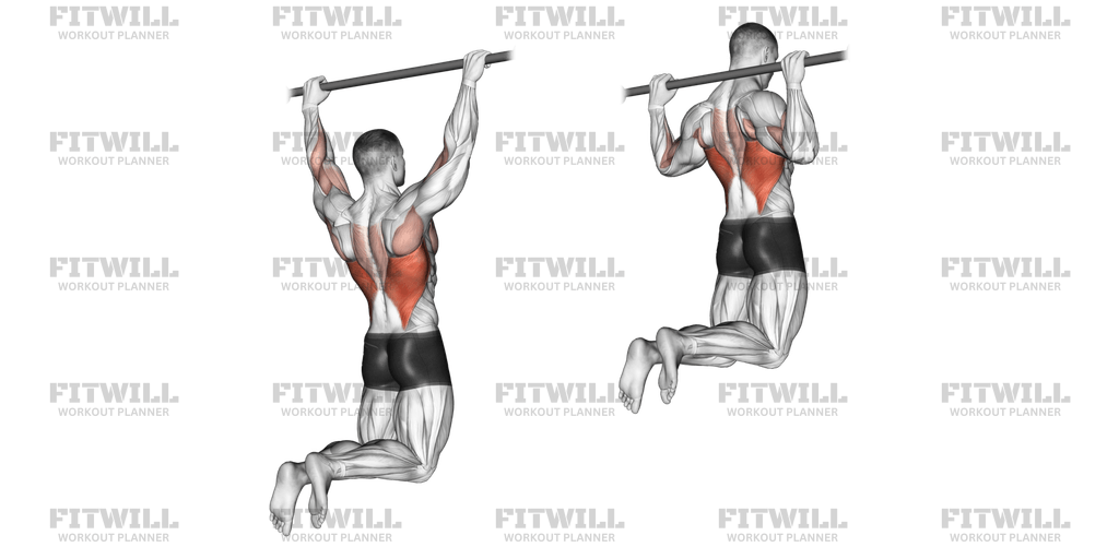 Rear Pull-up: Exercise Guide, Techniques, Benefits, How to, Muscles ...