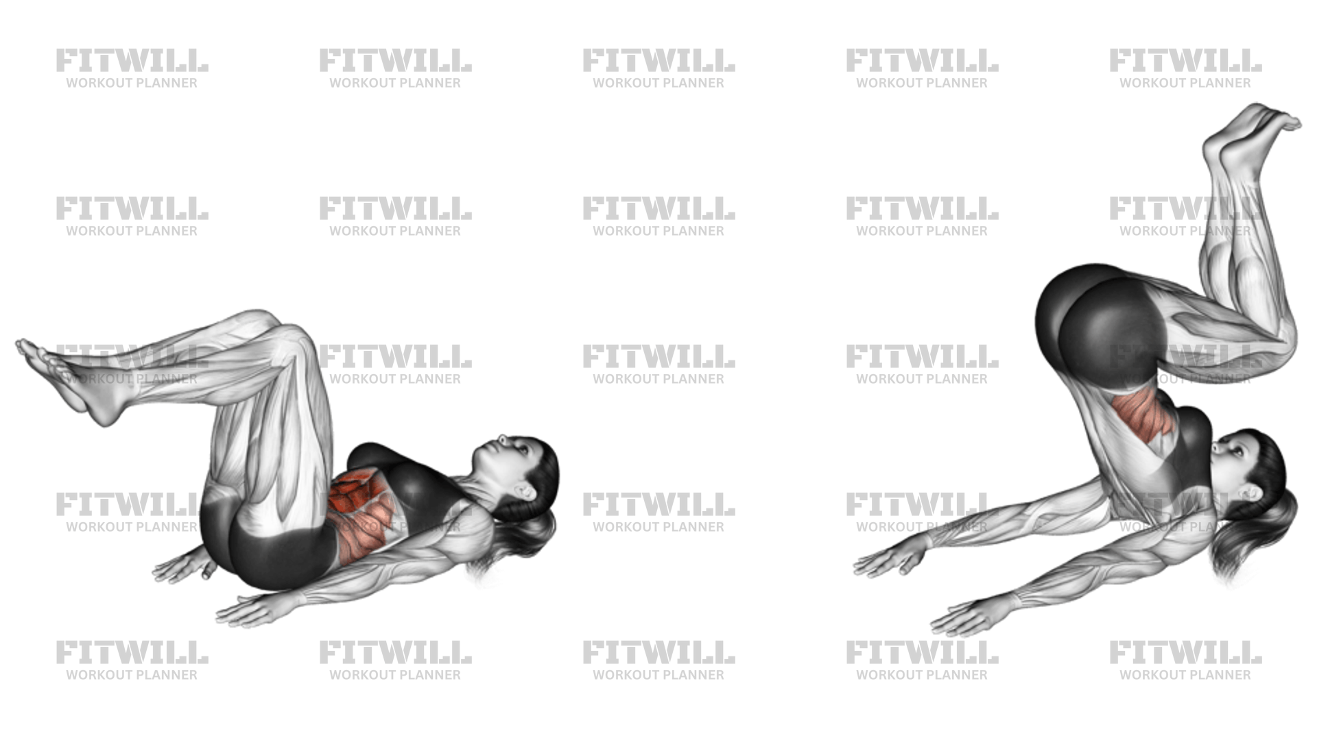 Reverse Crunch: Exercise Guide, Video, Techniques, Benefits, How to ...