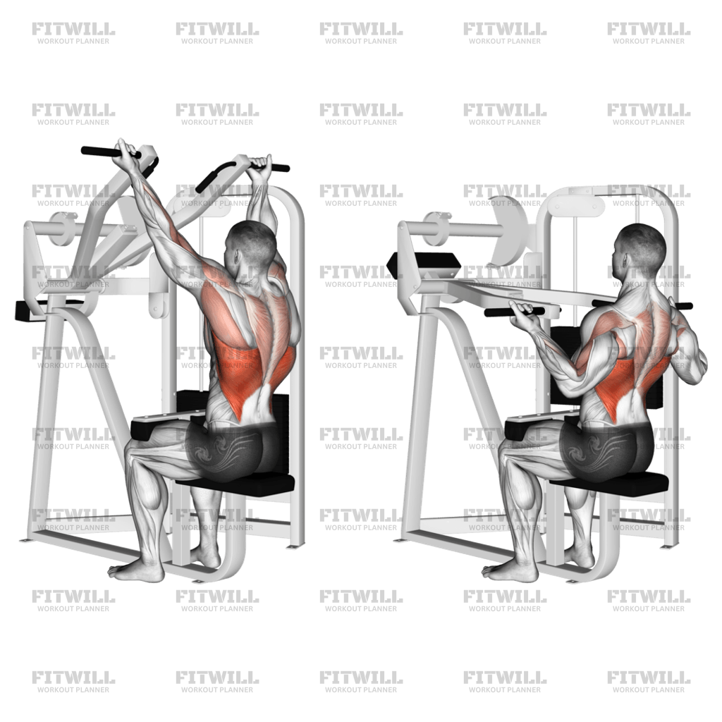 Reverse Grip Machine Lat Pulldown: Exercise Guide, Video, Techniques ...