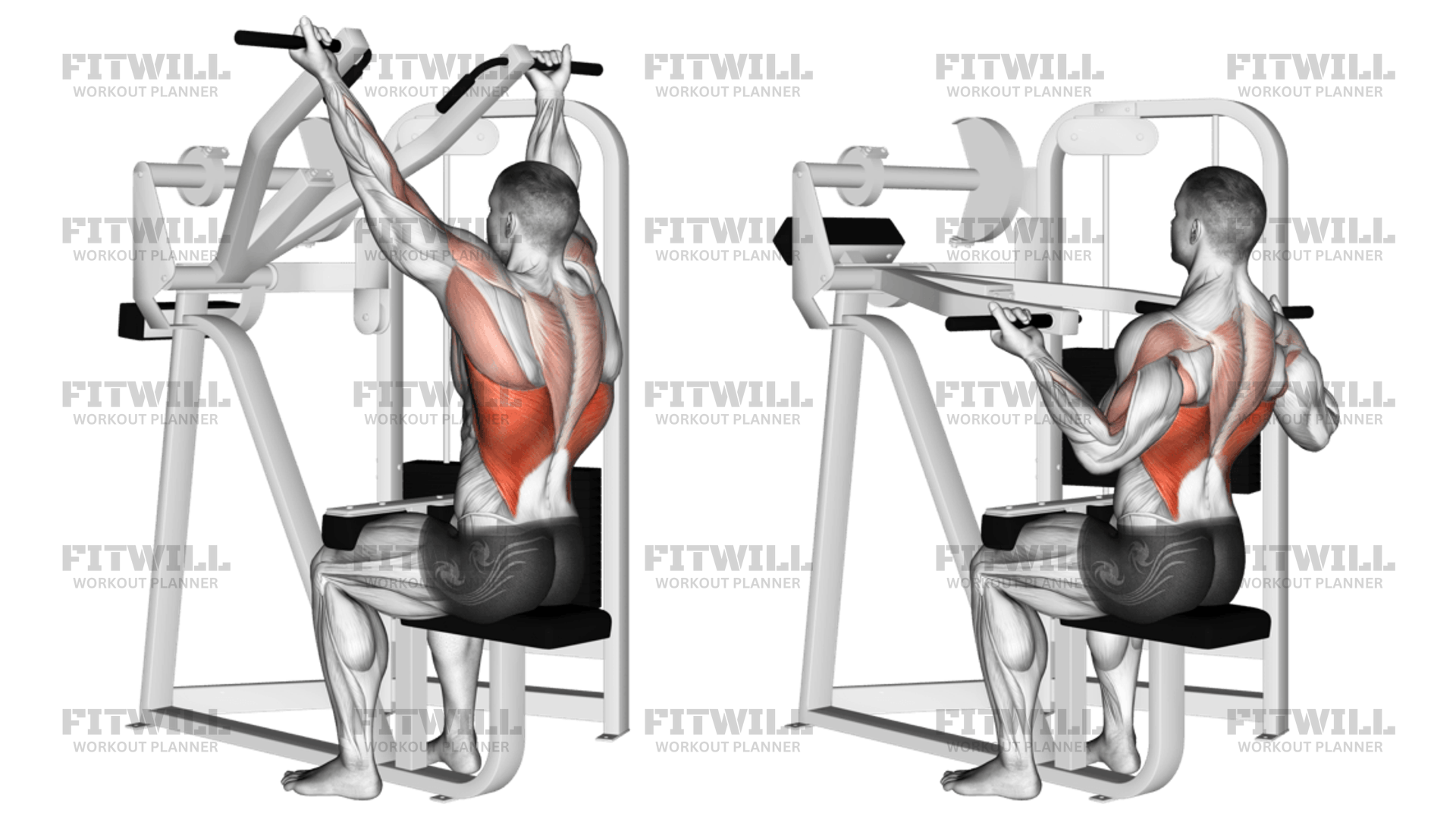 Reverse Grip Machine Lat Pulldown: Exercise Guide, Video, Techniques ...