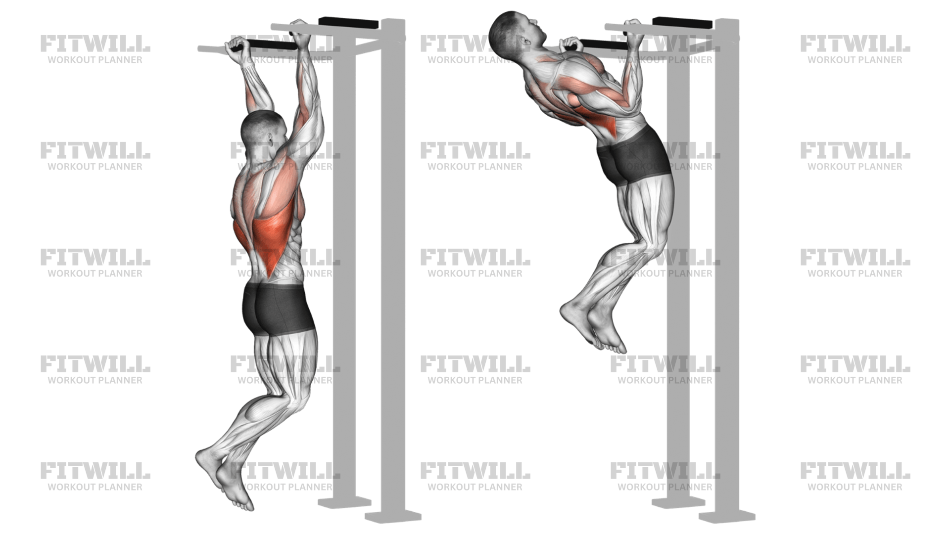 Reverse Grip Pull-up: Exercise Guide, Video, Techniques, Benefits, How ...