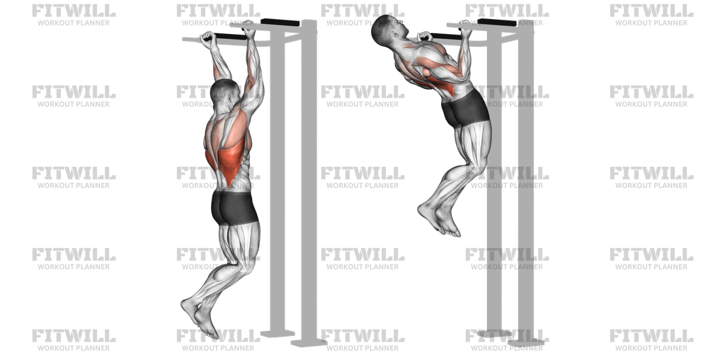 Reverse-Grip Pull-Up: Exercise Guide, Video, Techniques, Benefits, How ...