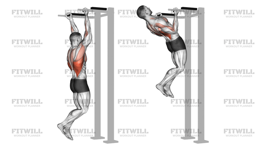 Reverse Grip Pull-up: Exercise Guide, Video, Techniques, Benefits, How ...