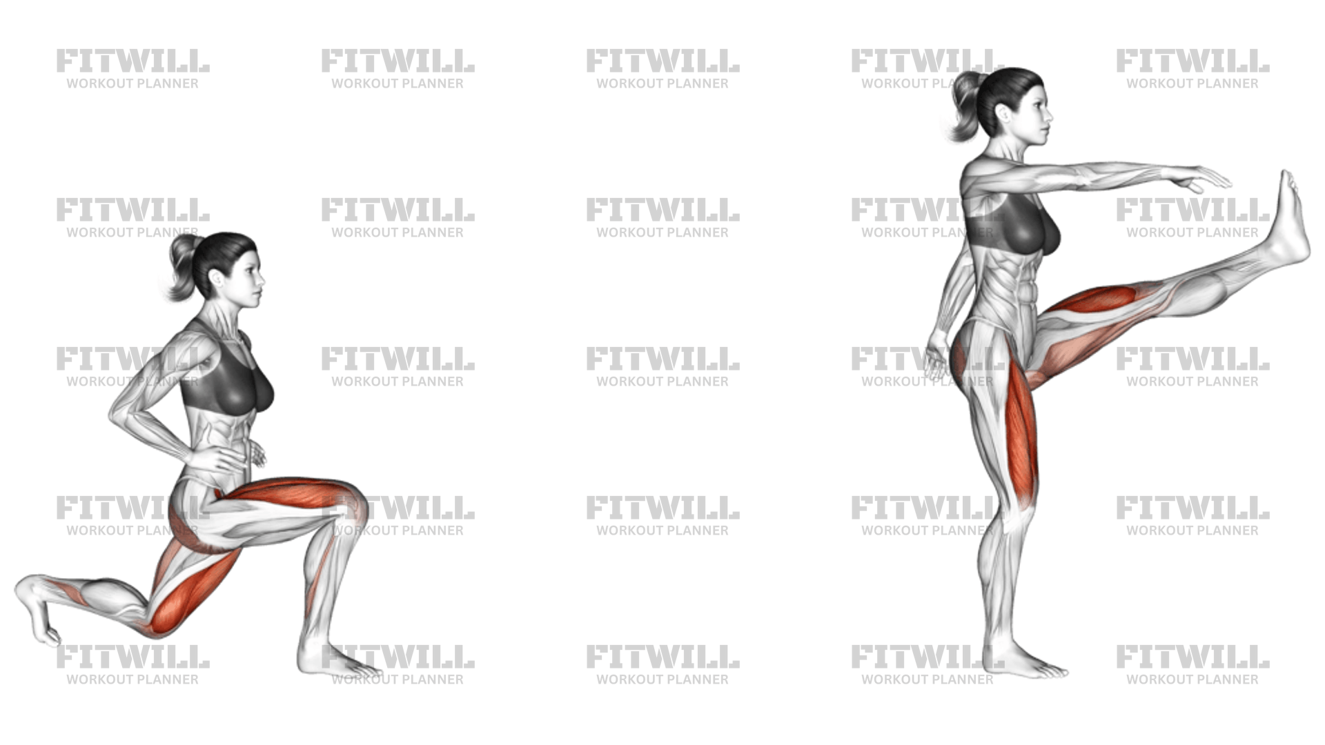 Reverse Lunge (leg Kick): Exercise Guide, Video, Techniques, Benefits ...