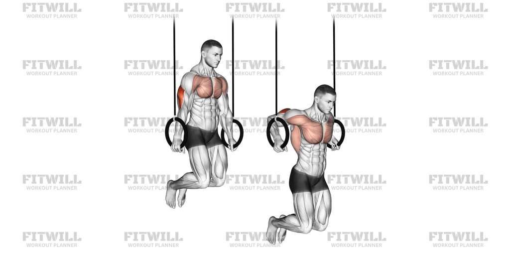 Ring Dips: Exercise Guide, Video, Techniques, Benefits, How to, Muscles ...