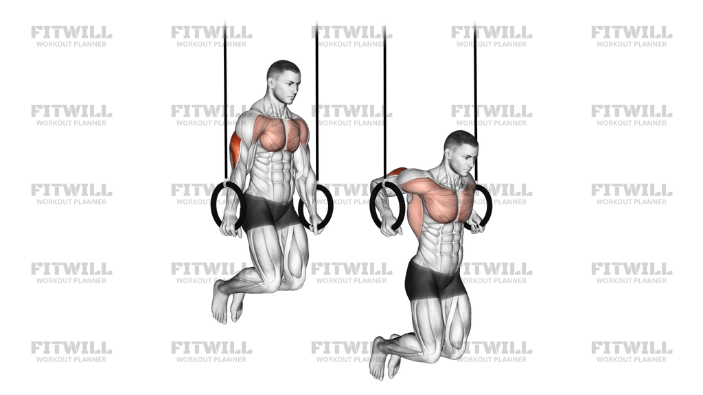 Ring Dips: Exercise Guide, Video, Techniques, Benefits, How to, Muscles ...