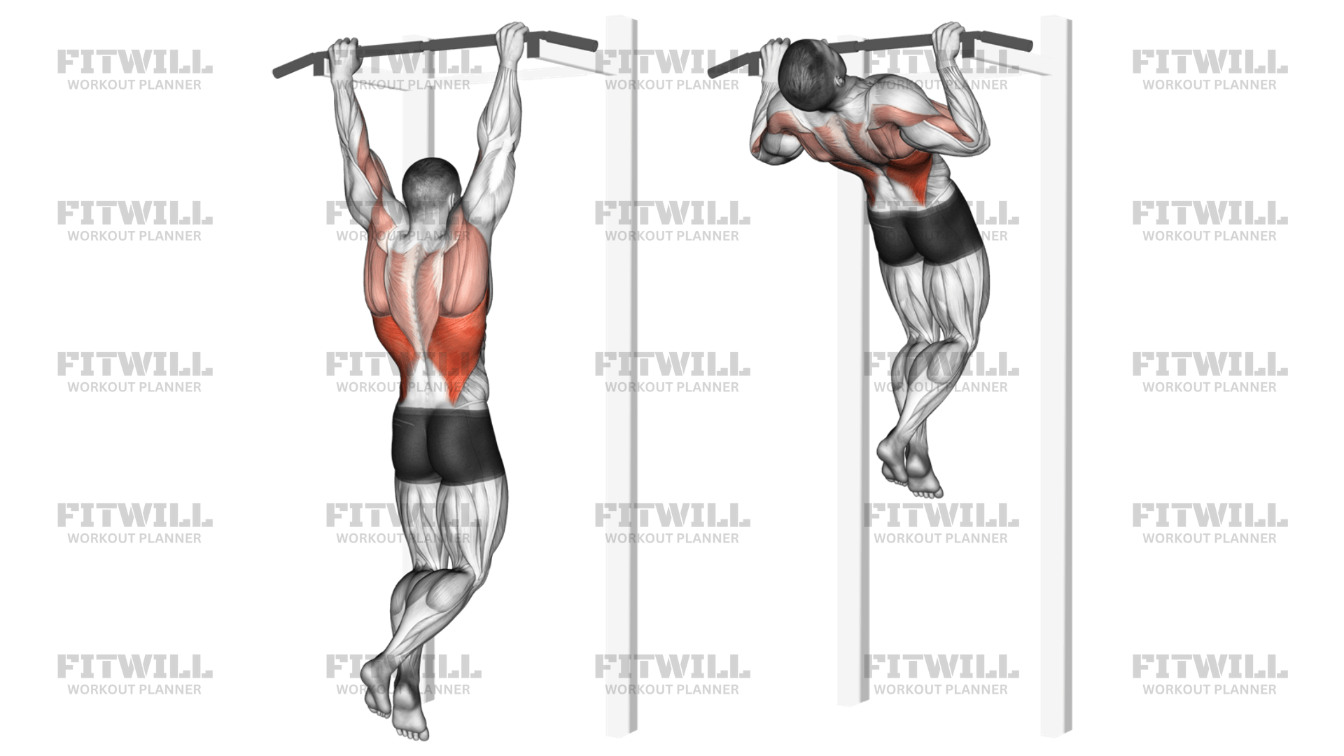 Rocky Pull-Up Pulldown: Exercise Guide, Video, Techniques, Benefits ...