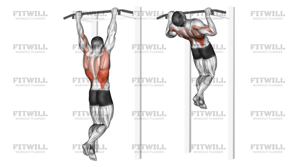 Rocky Pull-Up Pulldown: Exercise Guide, Video, Techniques, Benefits ...