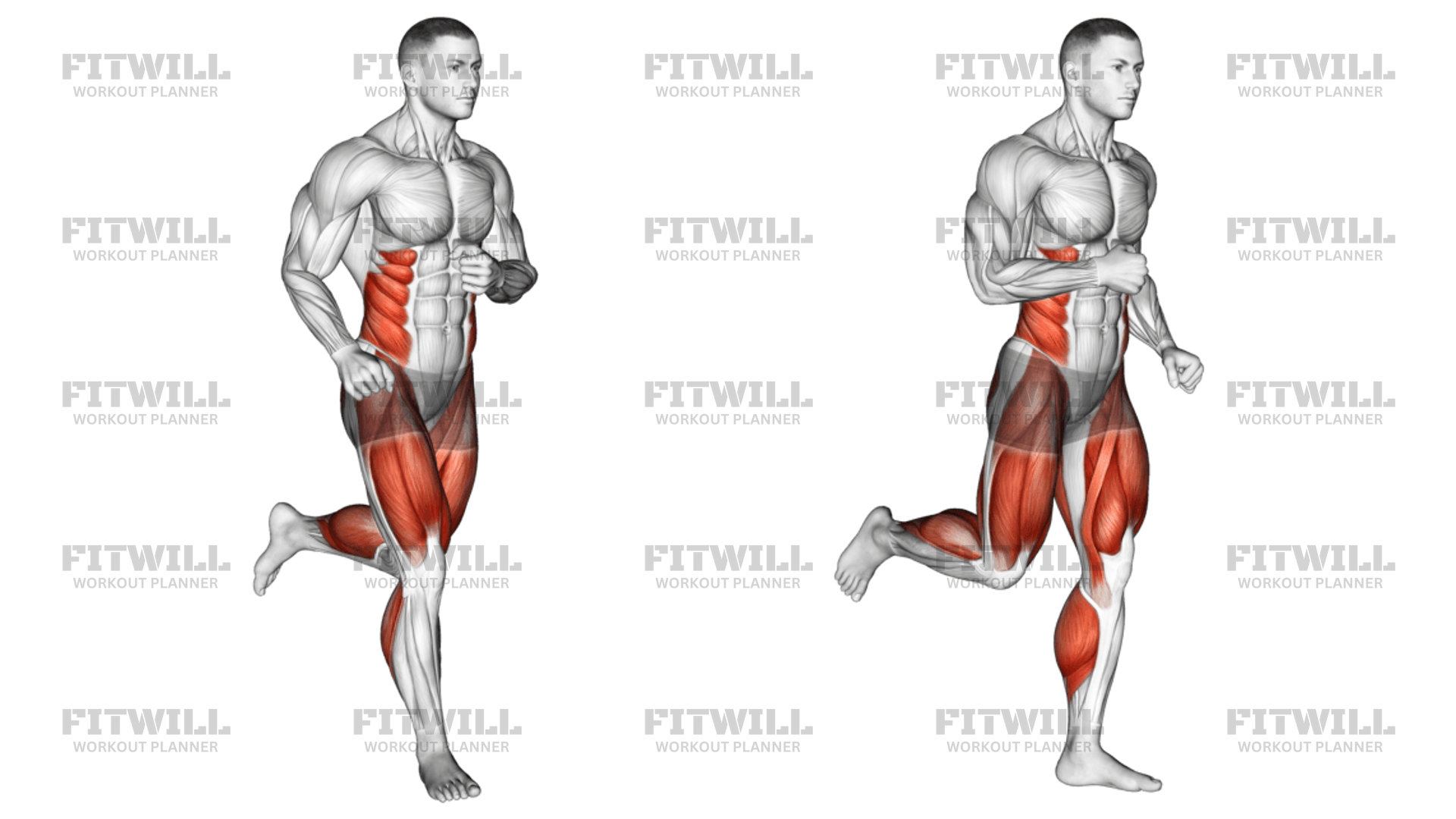 Run: Exercise Guide, Video, Techniques, Benefits, How to, Muscles ...